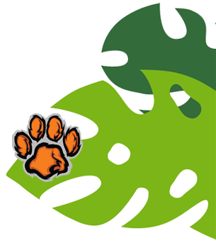 Programming Concepts | TigerJython